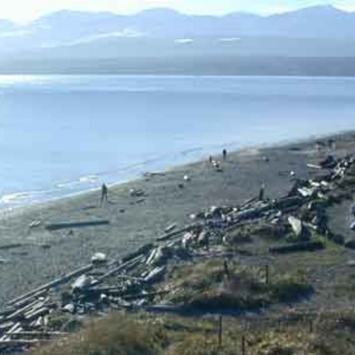 BC Seafood Festival, Comox Valley, Vancouver Island
